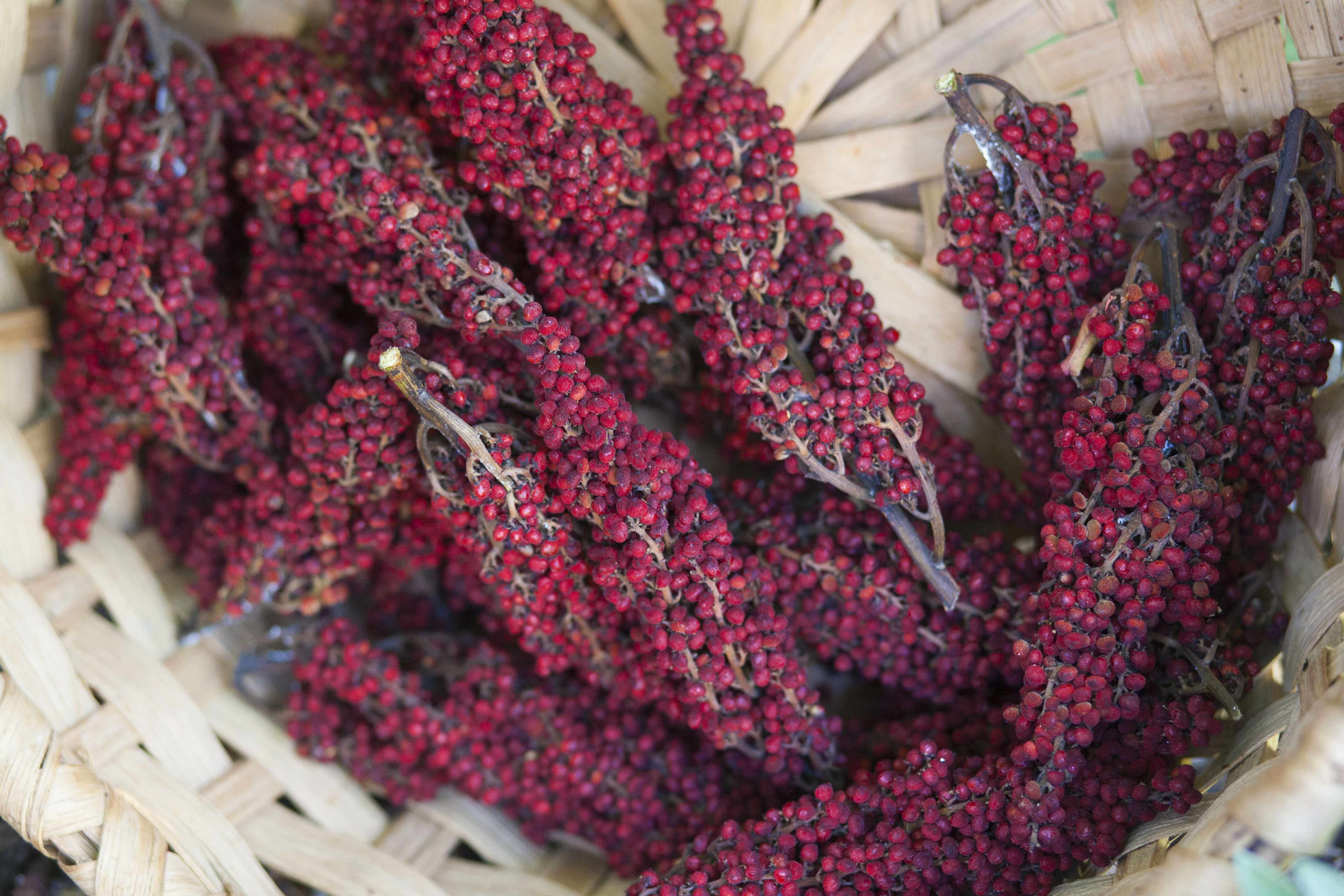 Sumac for the Kitchen & Medicine Cabinet | Lindsay Kolasa
